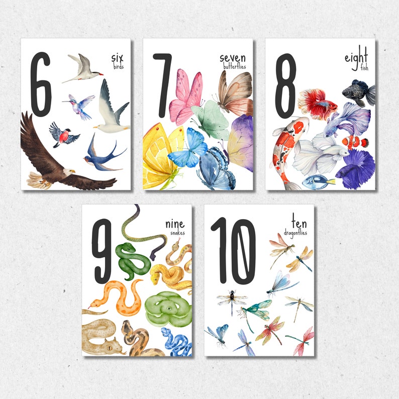 Animals Printable Flashcards Counting Number Cards Homeschool ...