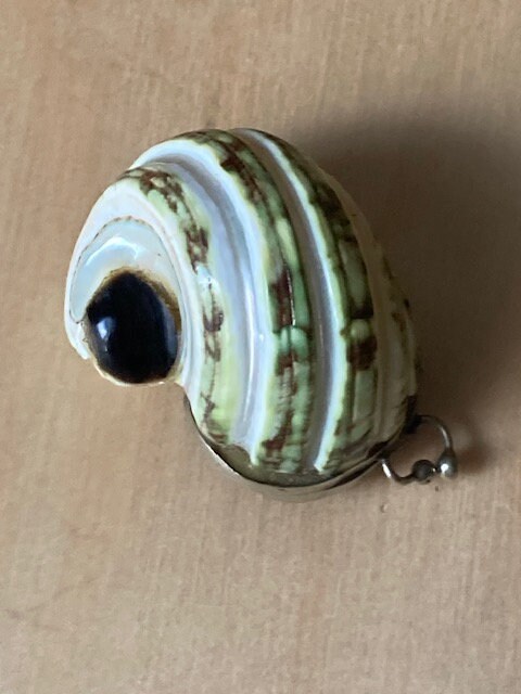 Small Old Sea Snail Pill Box - Etsy Ireland