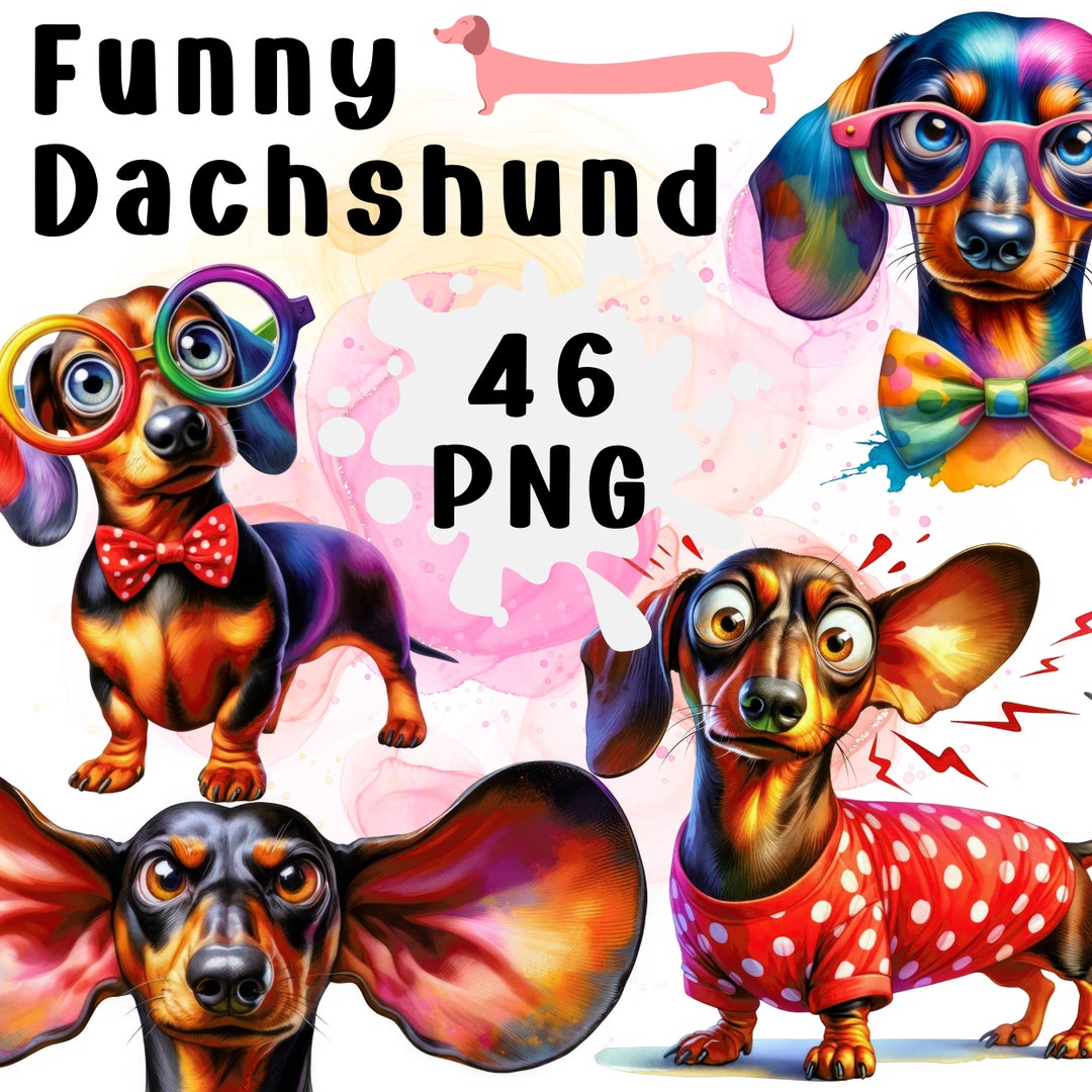 Funny Dachshund Clipart | Humorous Funny Dachshund Clipart Bundle | 10 ...
