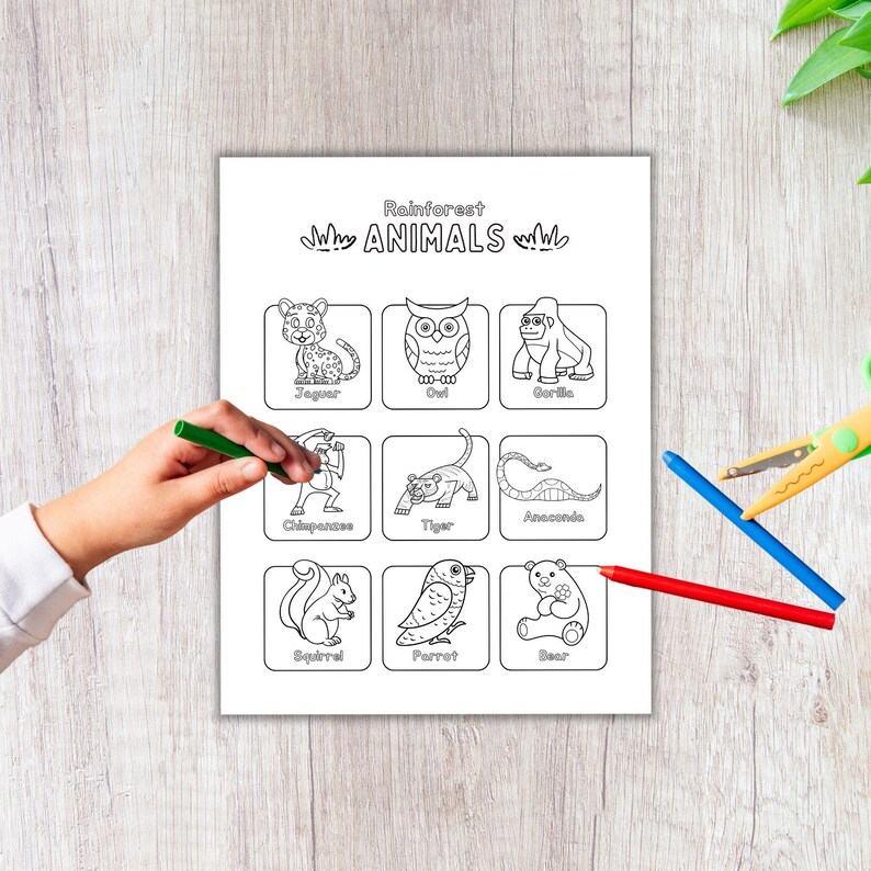 Rainforest Animals, Jungle Animals, Nursery Decor, Instant Download ...