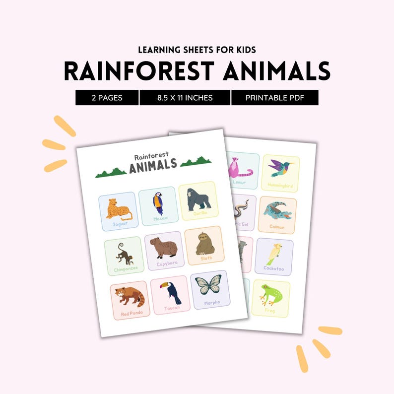 Rainforest Animals, Jungle Animals, Nursery Decor, Instant Download ...