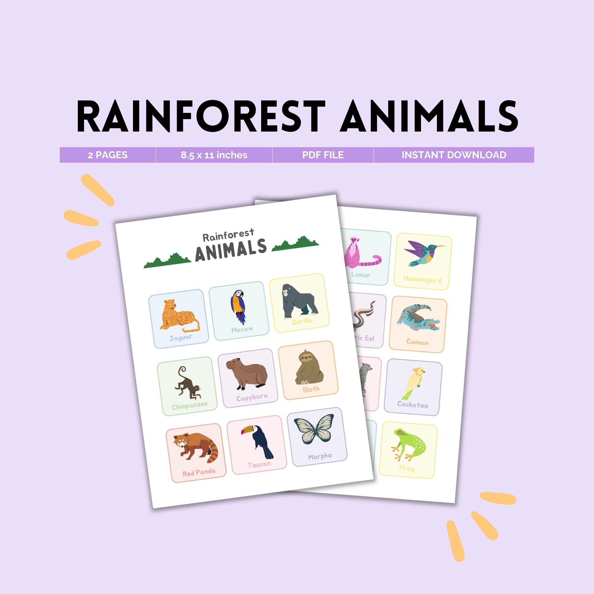 Rainforest Animals, Jungle Animals, Teacher Resources, Animal Art ...