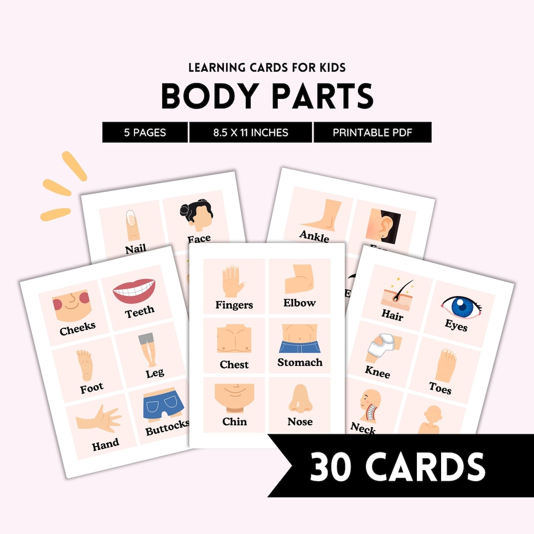 Body Parts, Human Anatomy, Human Body, Montessori Printable, Preschool ...