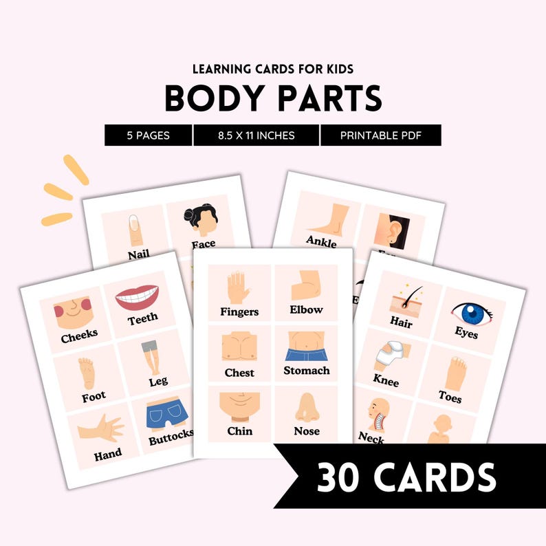 Body Parts, Human Anatomy, Human Body, Montessori Printable, Preschool ...