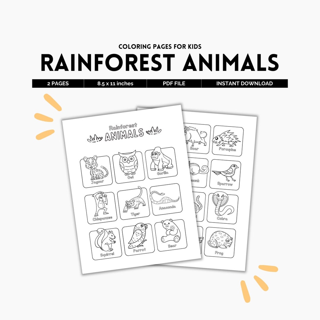 Rainforest Animals, Jungle Animals, Teacher Resources, Coloring Pages ...