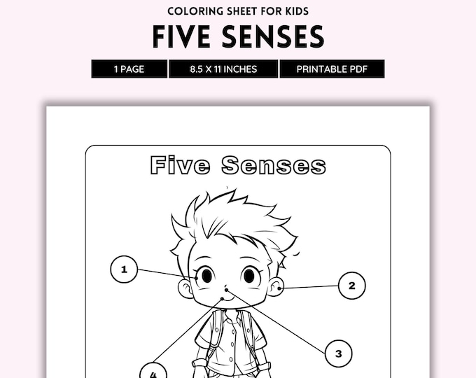 5 Senses Traditional Chinese Kids 我的五感 Science Five Senses Print ...