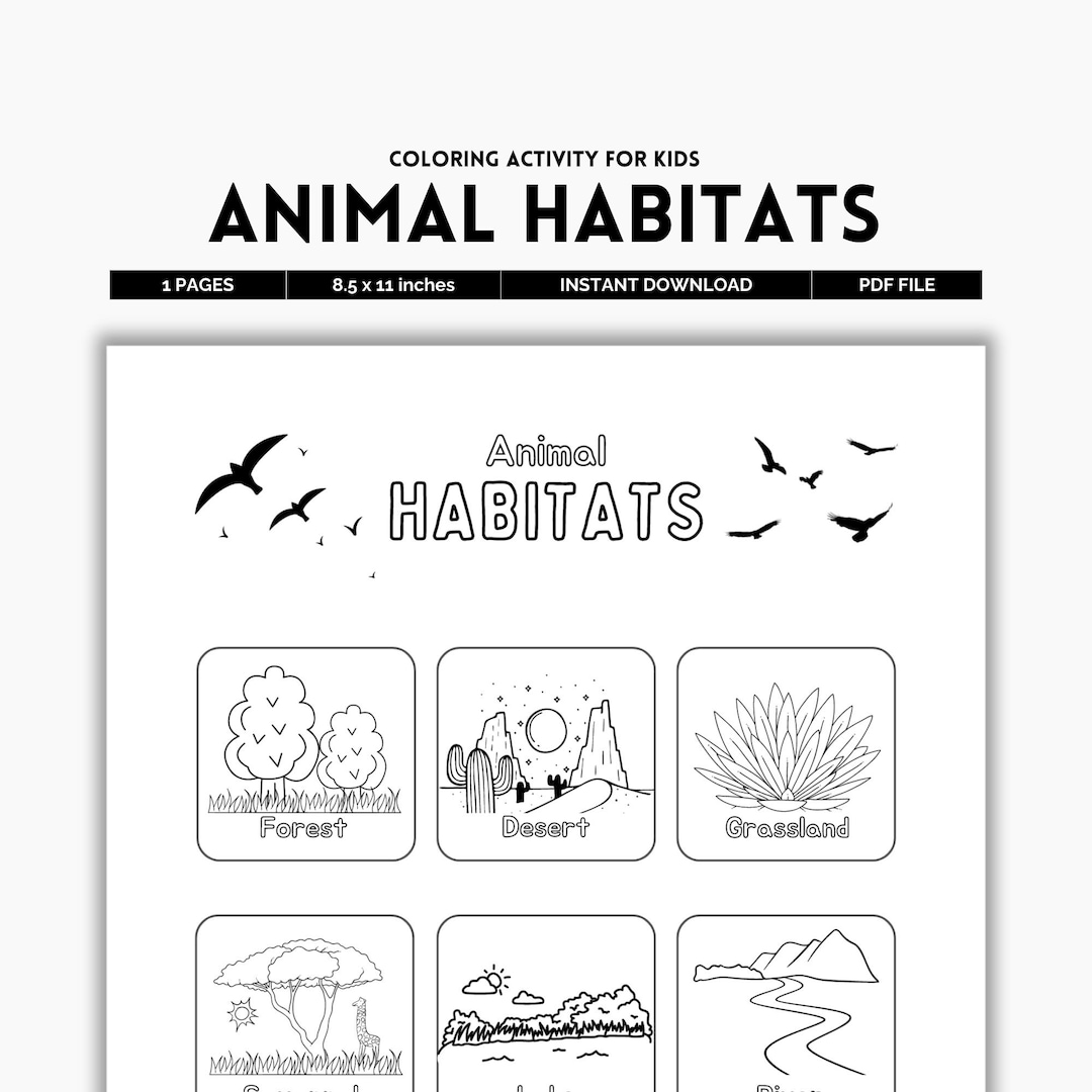 Animal Habitats, Animal Kingdom, Teacher Resources, Coloring Page, Home ...