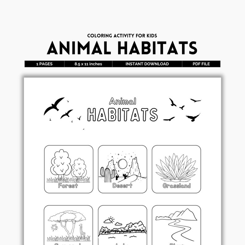 Animal Habitats, Animal Kingdom, Teacher Resources, Coloring Page, Home ...