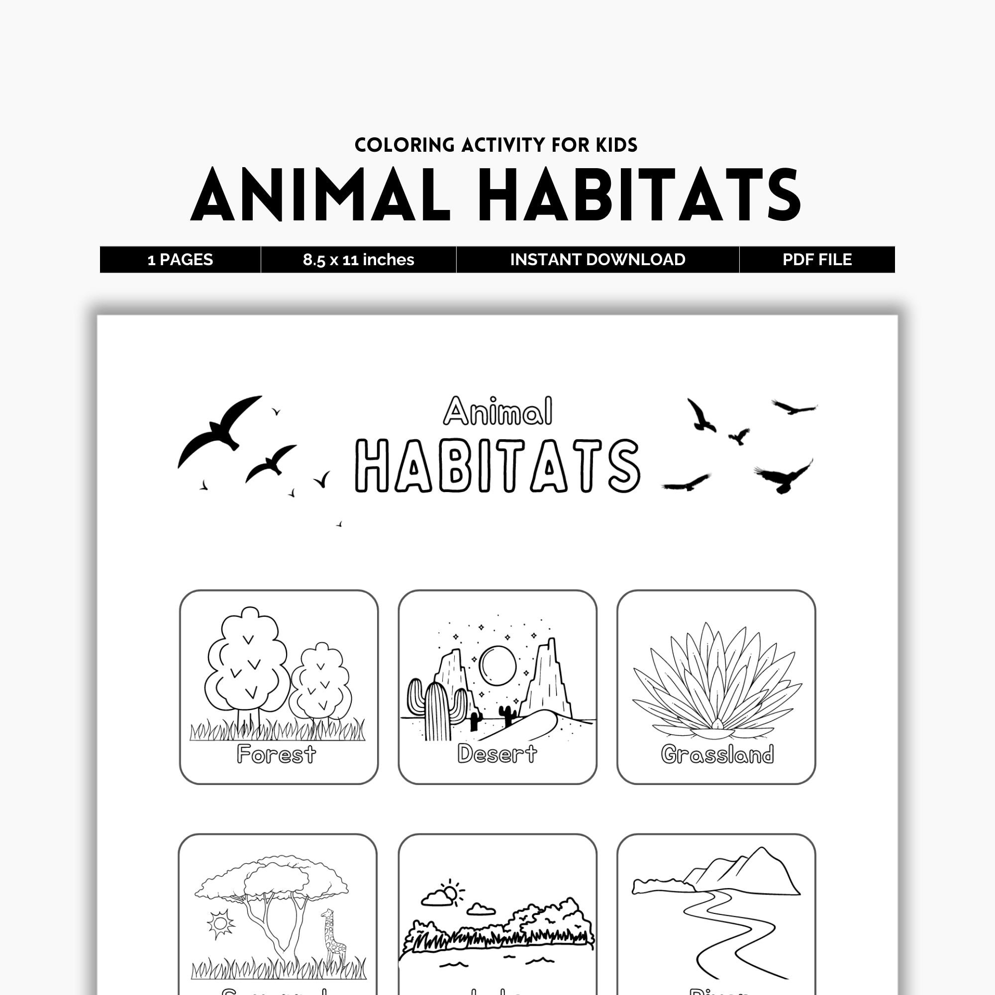 Animal Habitats, Animal Kingdom, Teacher Resources, Coloring Page, Home ...