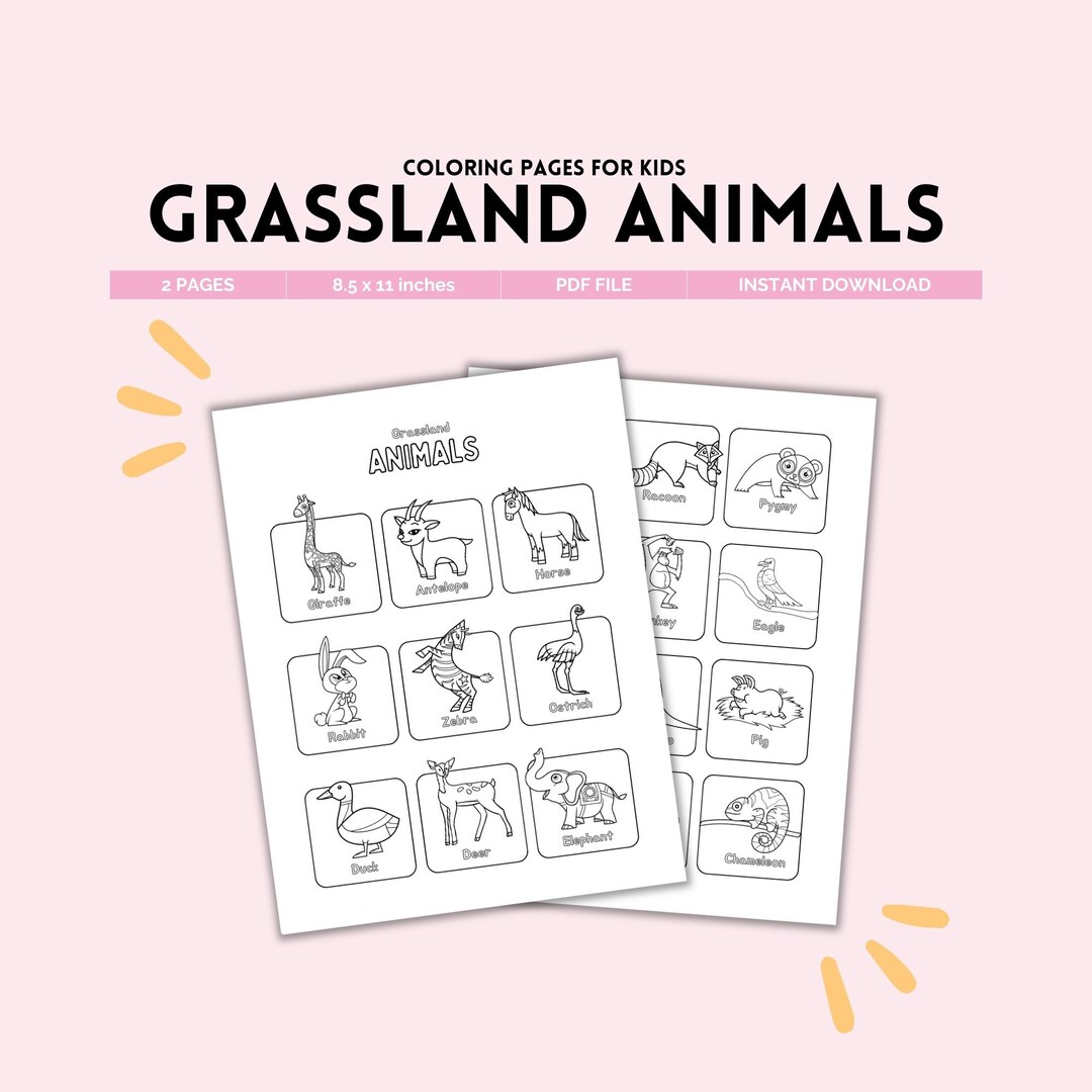 Grassland Animals, Coloring Pages, Animal Cards, Baby Coloring Book ...