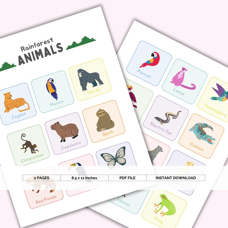 Rainforest Animals, Jungle Animals, Nursery Decor, Instant Download ...