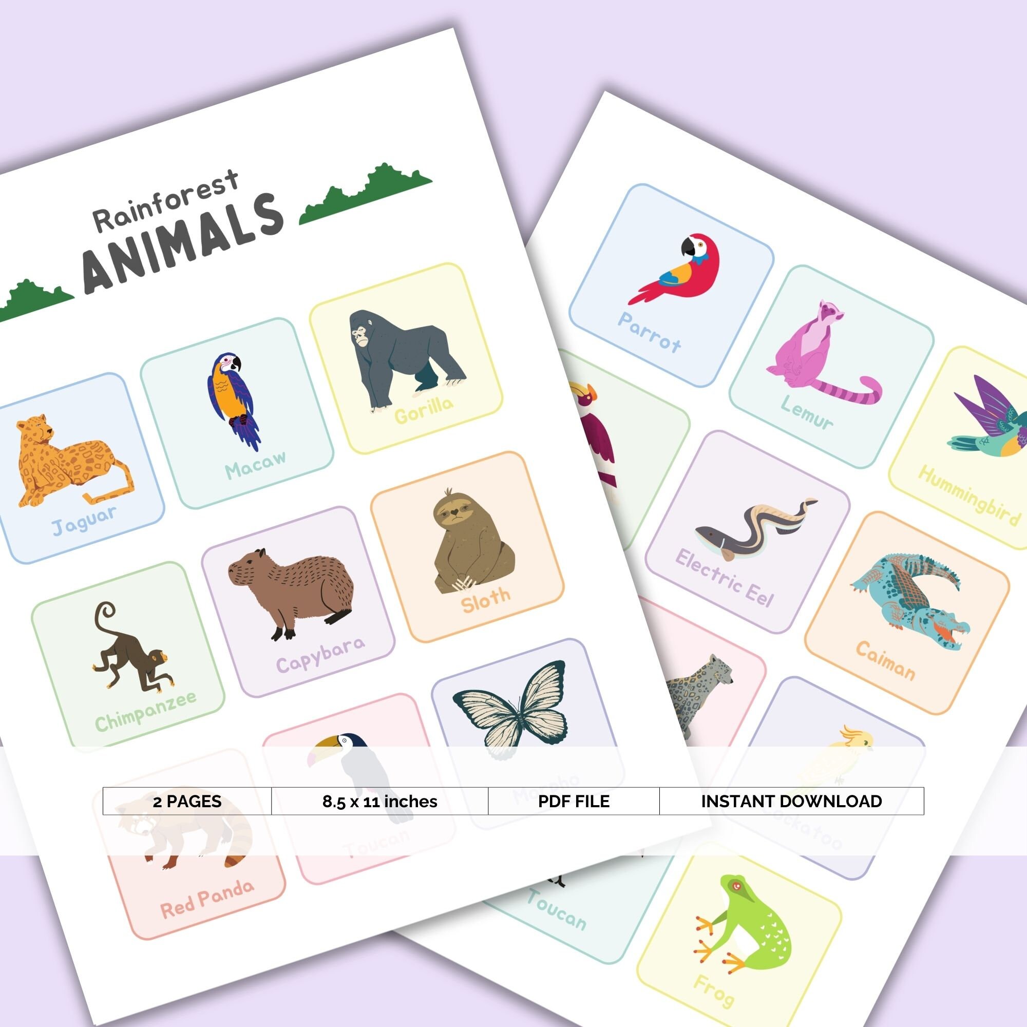 Rainforest Animals, Jungle Animals, Teacher Resources, Animal Art ...