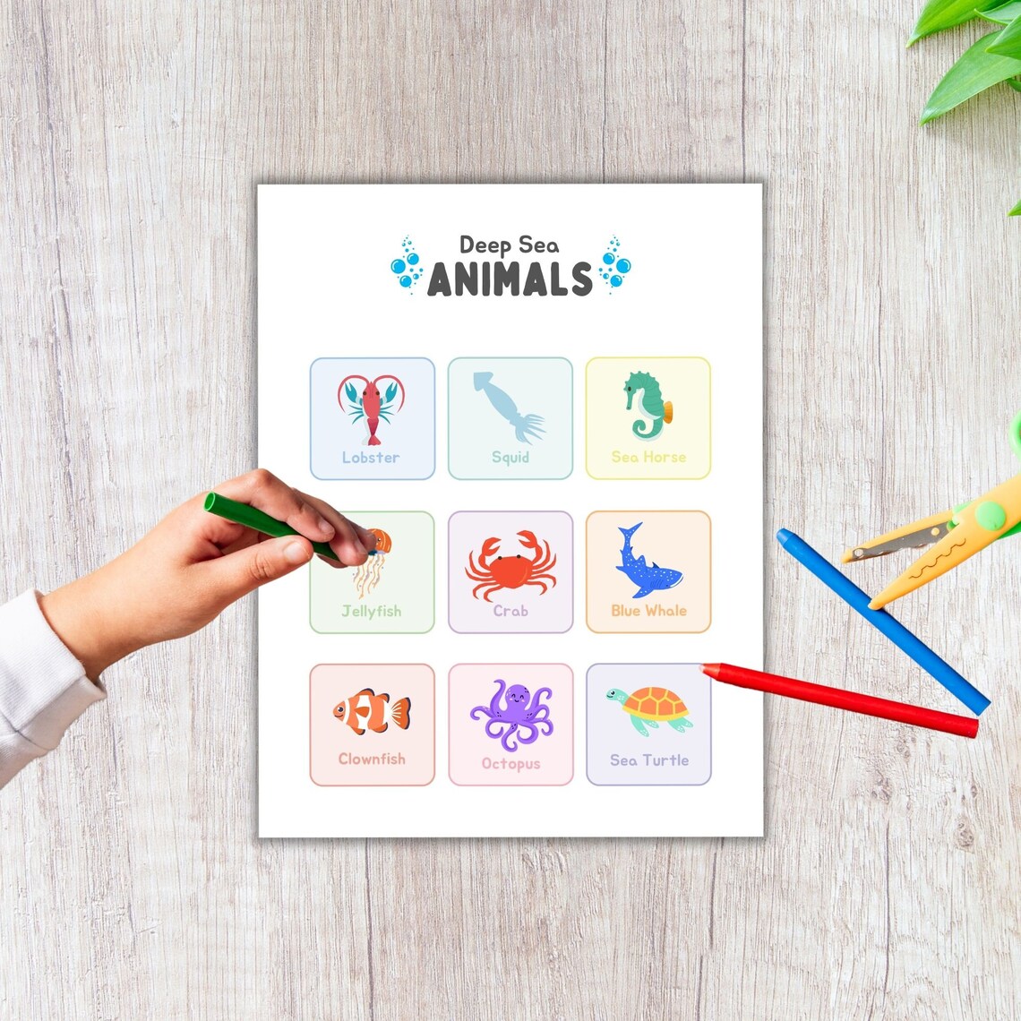 Deep Sea Animals, Under the Sea, Ocean Nursery Decor, Life Aquatic ...