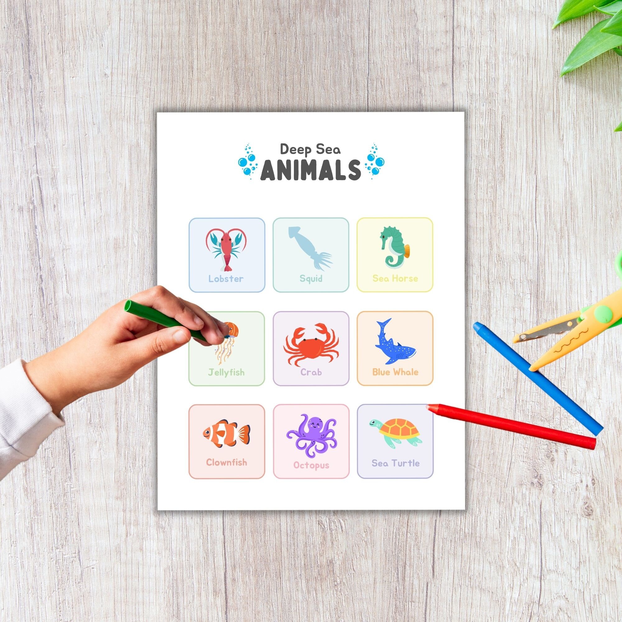 Deep Sea Animals, Under the Sea, Ocean Nursery Decor, Life Aquatic ...