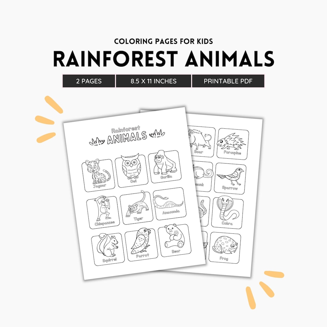 Rainforest Animals, Jungle Animals, Teacher Resources, Coloring Pages ...