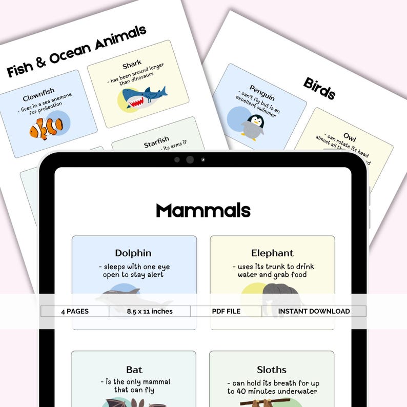 Animal Facts, Fun Facts, Back to School, Animal Lover, Homeschooling ...