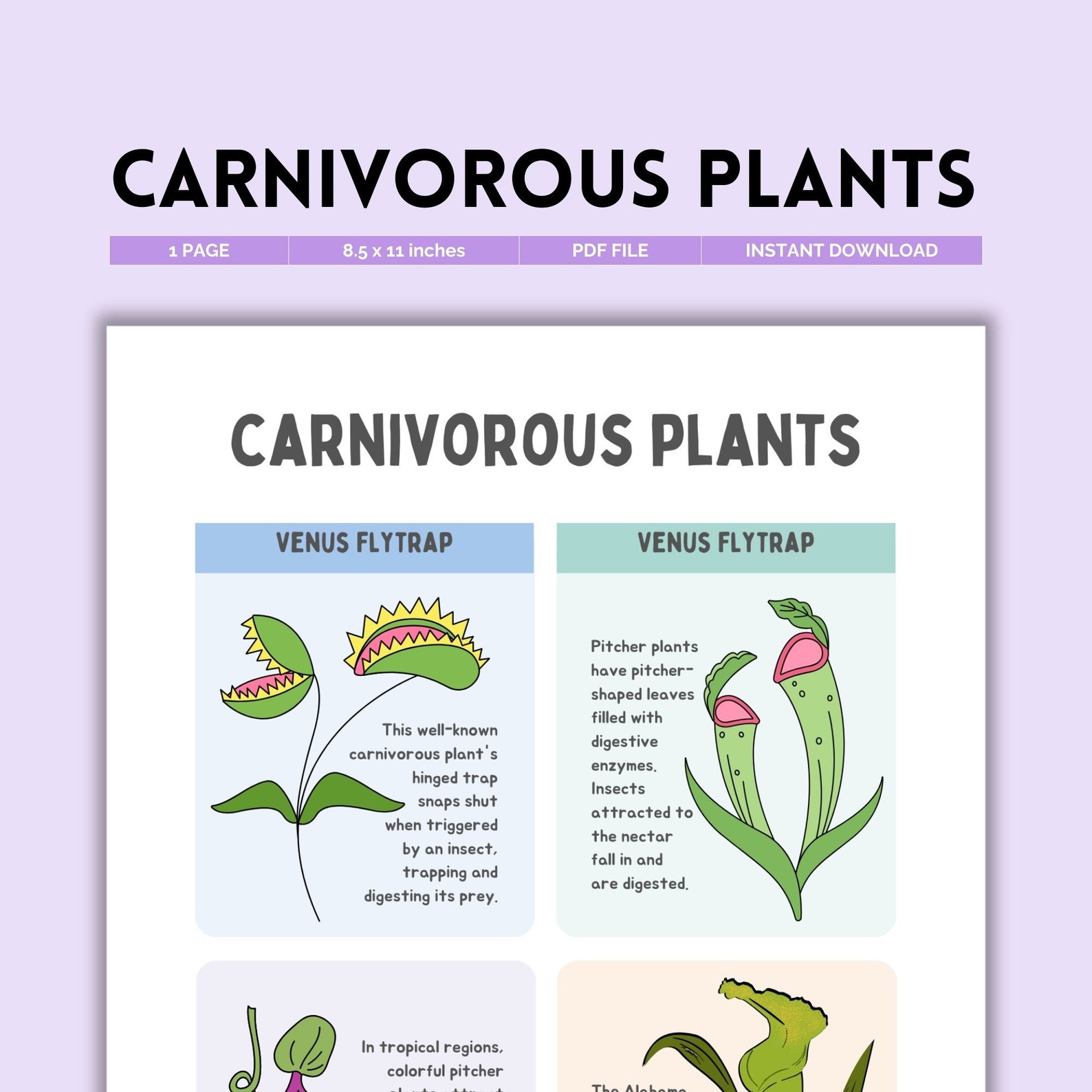 Carnivorous Plants, Plant Lover, Teacher Resources, Home School ...