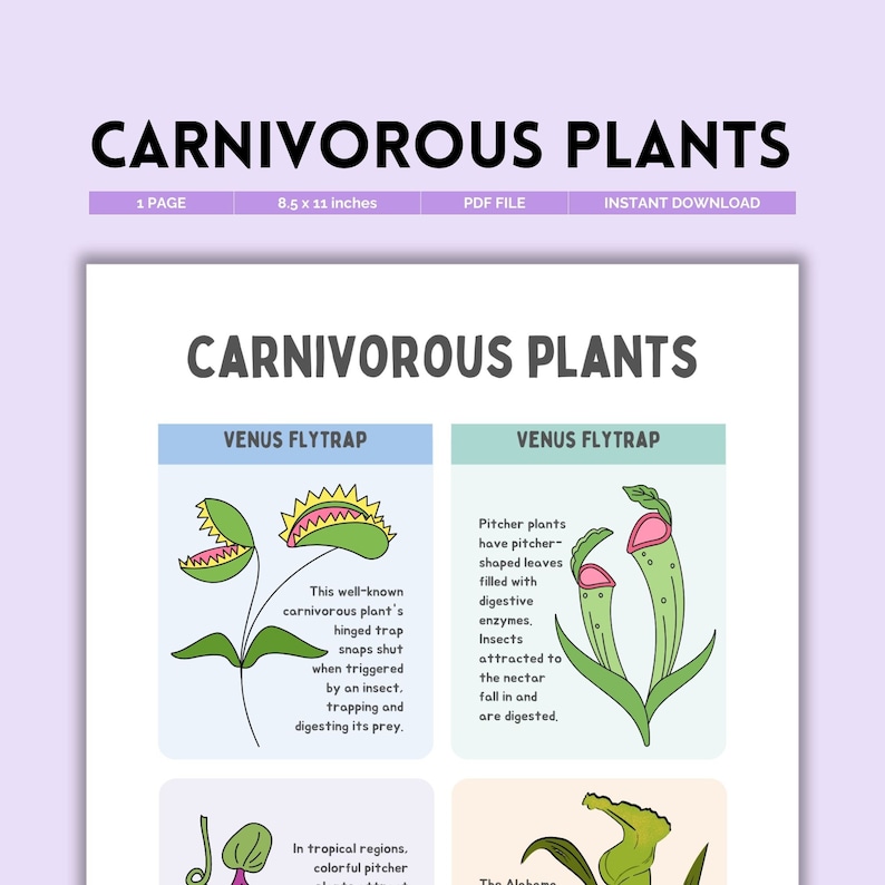 Carnivorous Plants, Plant Lover, Teacher Resources, Home School ...