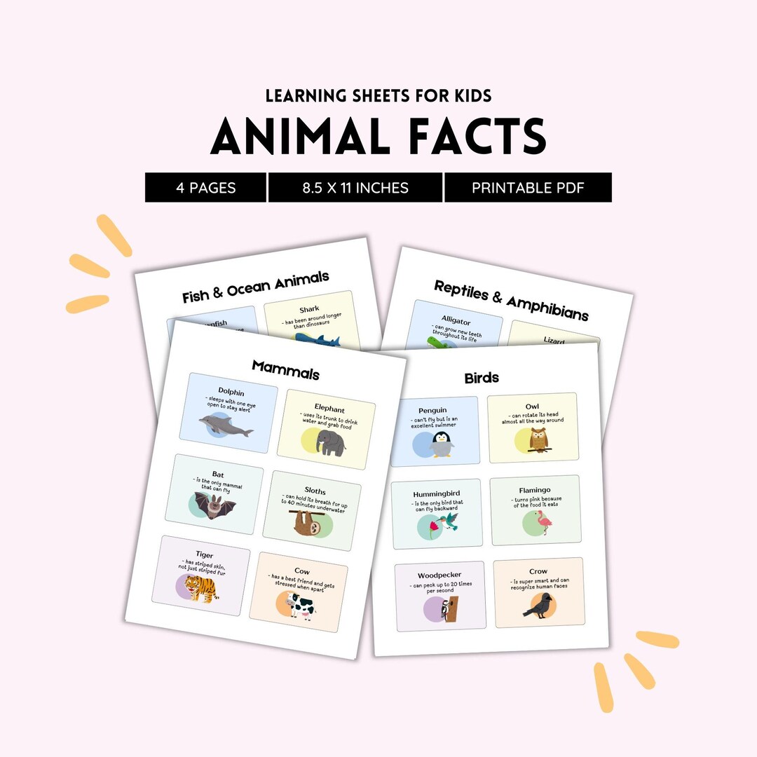 Animal Facts, Fun Facts, Back to School, Animal Lover, Homeschooling ...