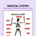 Skeletal System, Homeschool Printable, Educational Poster, Printable ...