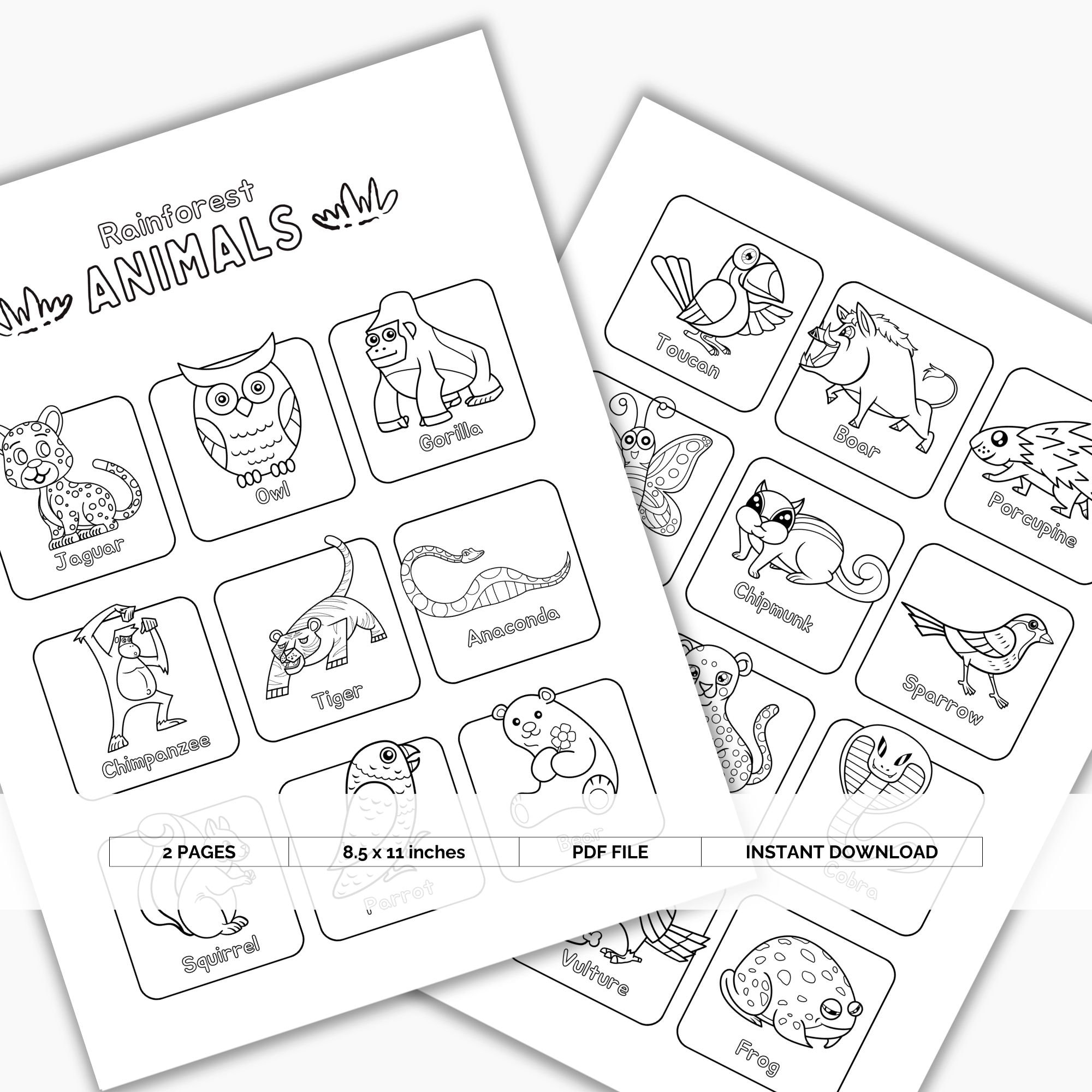 Rainforest Animals, Jungle Animals, Teacher Resources, Coloring Pages ...