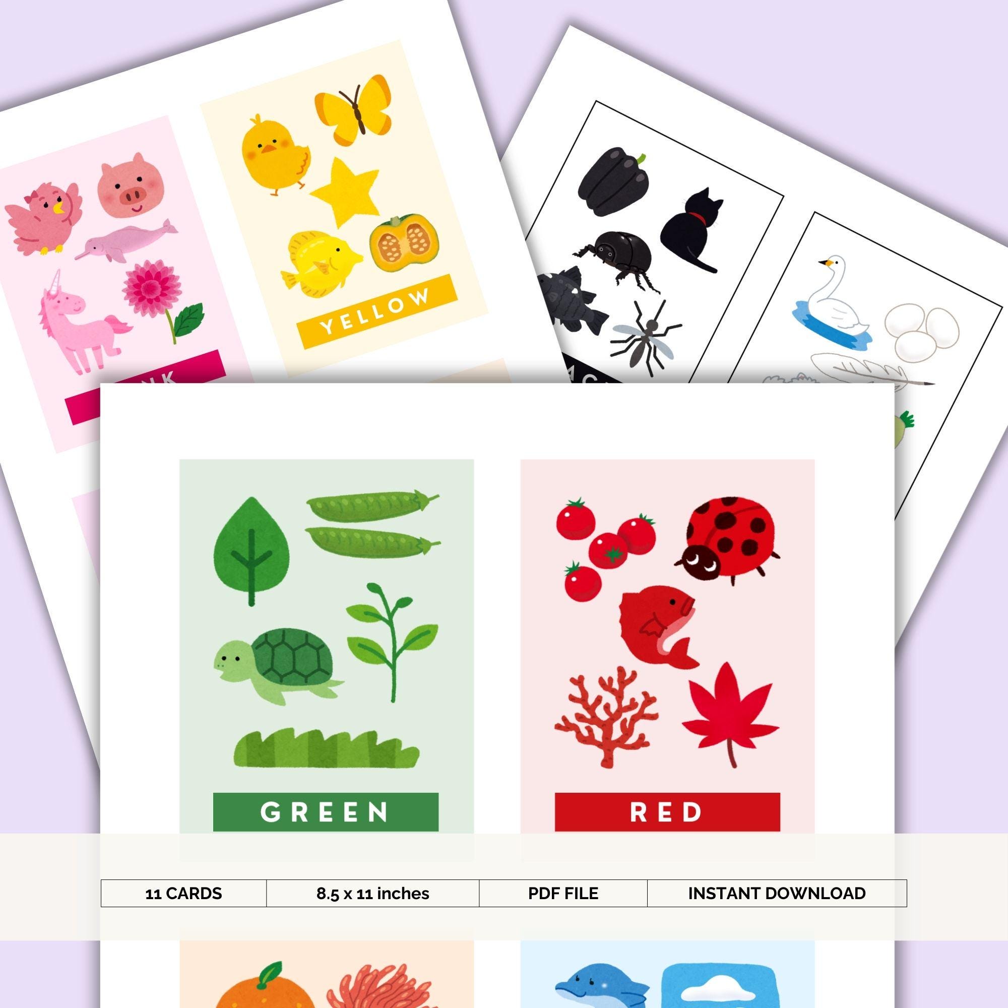 11 Nature Color Flashcards, Kids Learn Color, Color Recognition ...