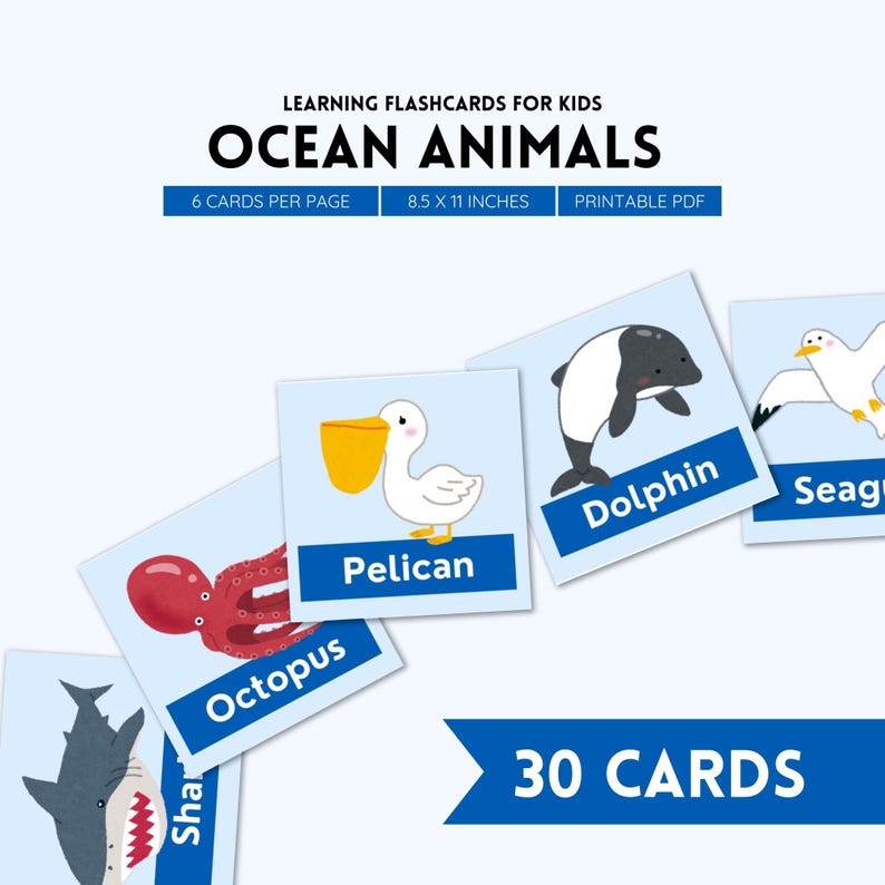 25 Ocean Animals, Flashcards for Kids, Ocean Theme, Nomenclature Cards ...