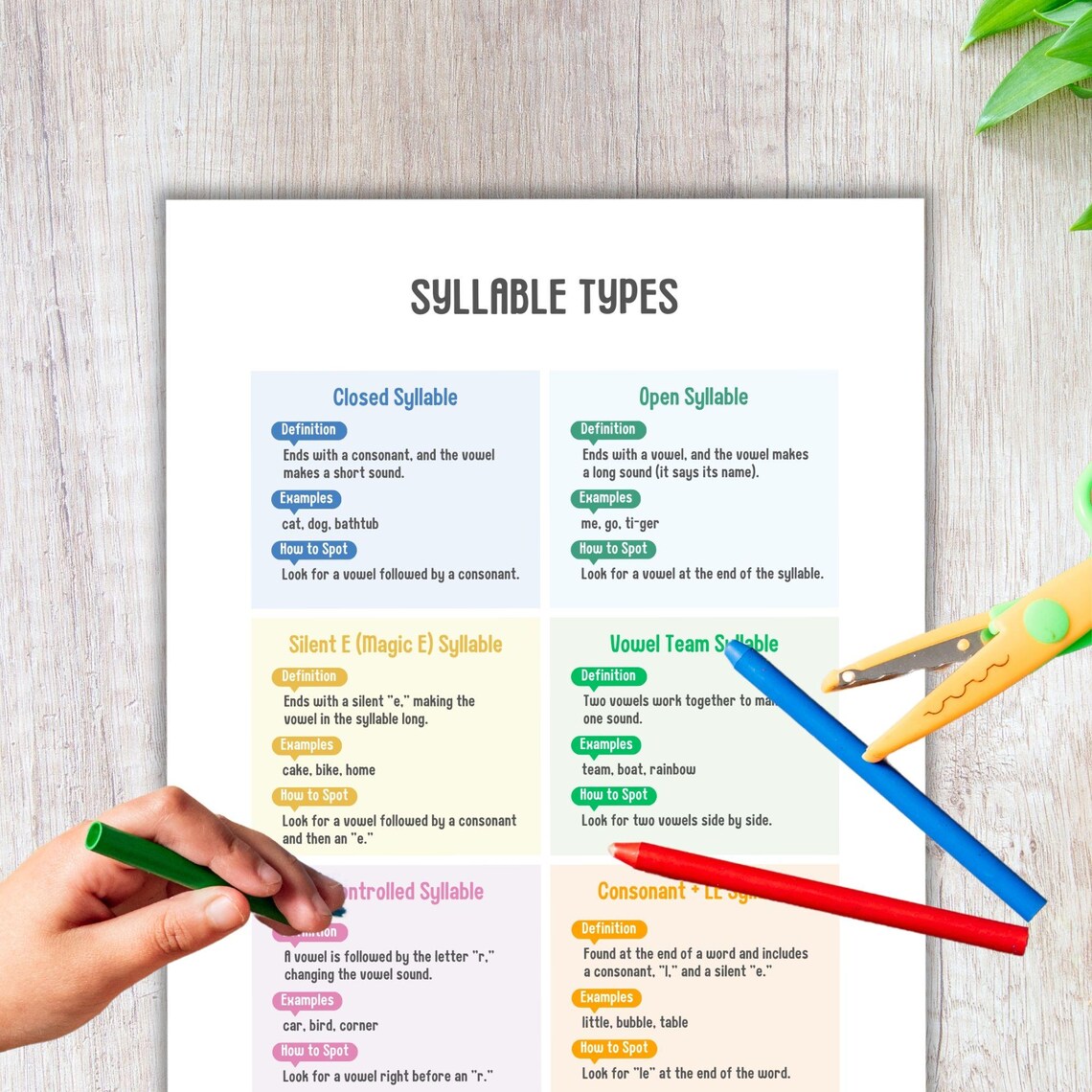 Syllable Types Chart | Color PDF | Phonics & Reading Reference ...