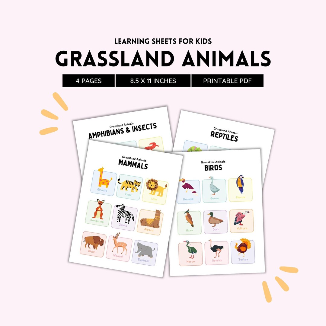 Grassland Animals, Grassland Study, Animal Kingdom, African Animals ...