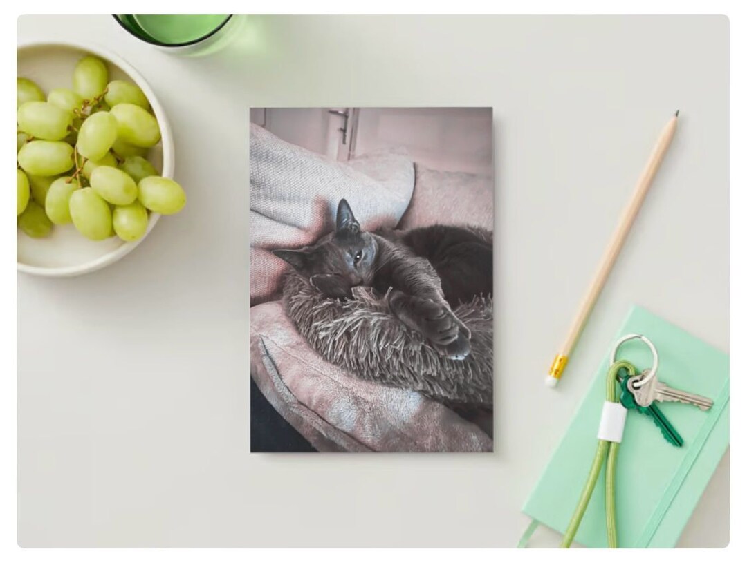 Cute Kitten Poster - Etsy