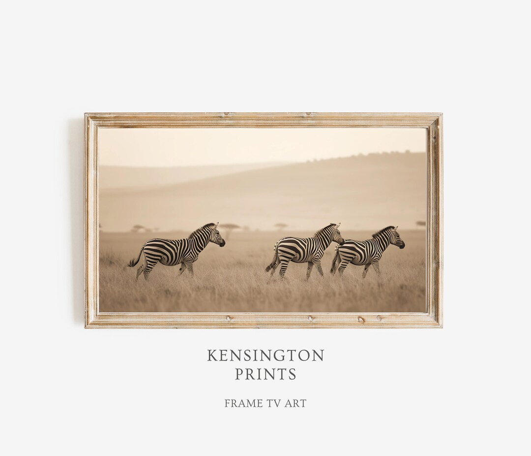Zebra Frame TV Art, Animal Art, Wildlife Digital Download, Neutral ...