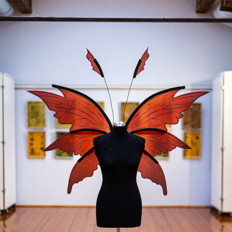 Adult Fairy Wings - Etsy