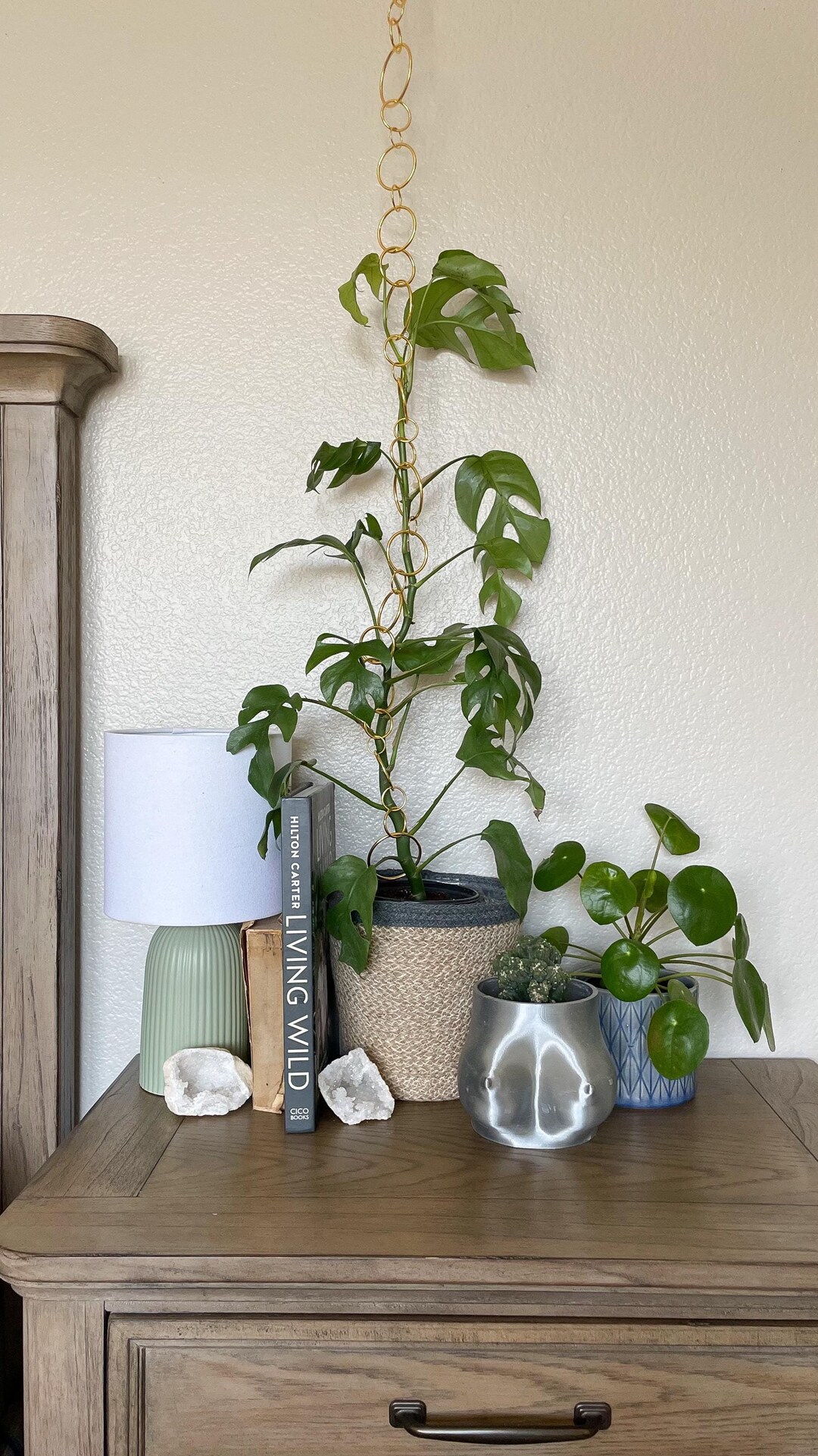 Gold Chain Plant Trellis | Bronze Plant Trellis - Etsy