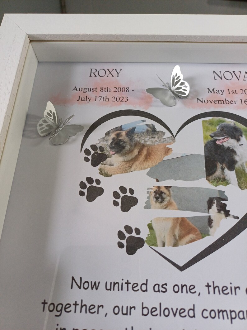 Custom Dog Memorial Shadow Box, Pet Paw Print Frame, Pet Bereavement ...