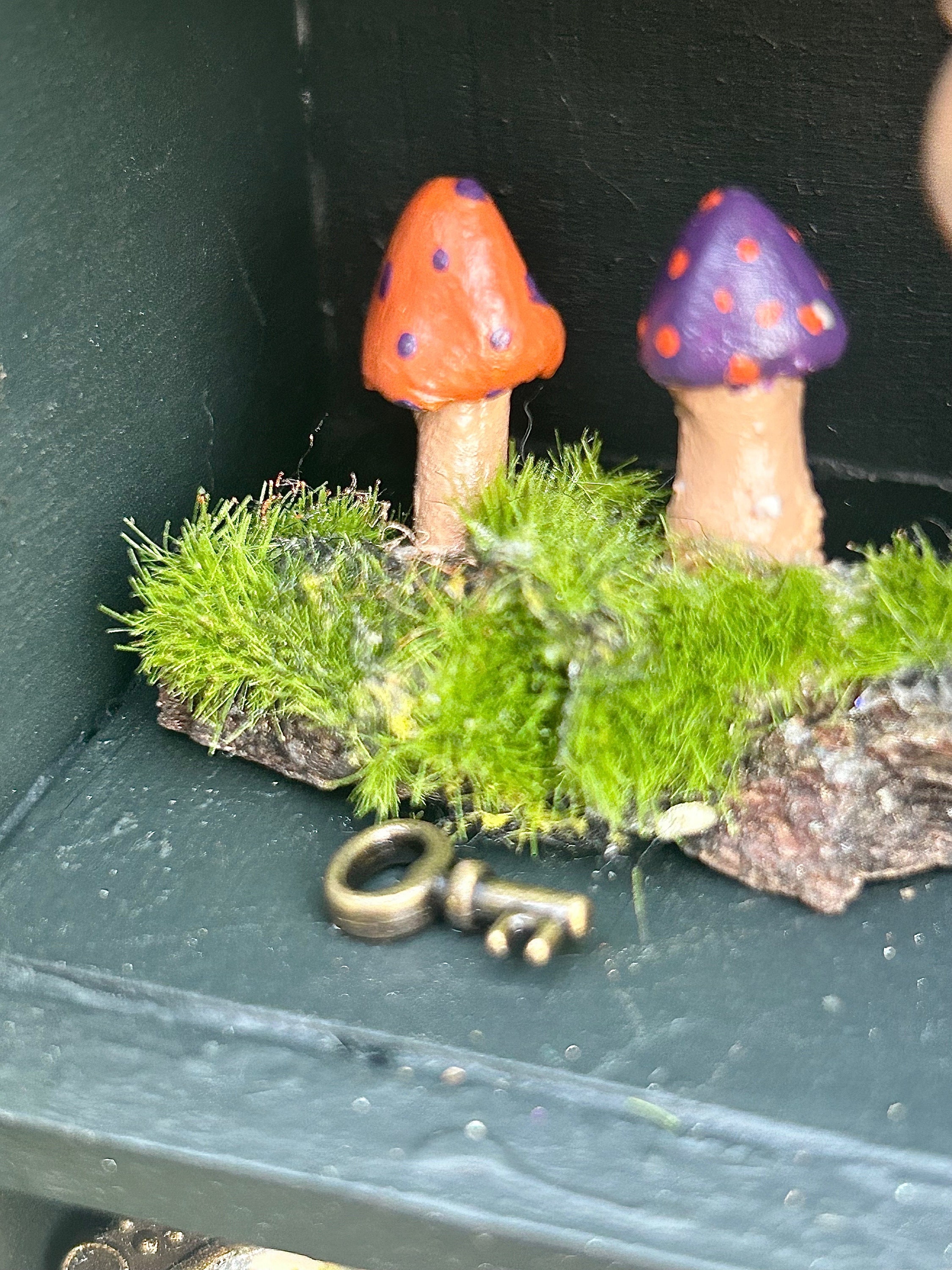 Mystical Curio Shelf Miniature With Accessories - Etsy