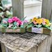 Miniature Flower Box Planters - Etsy