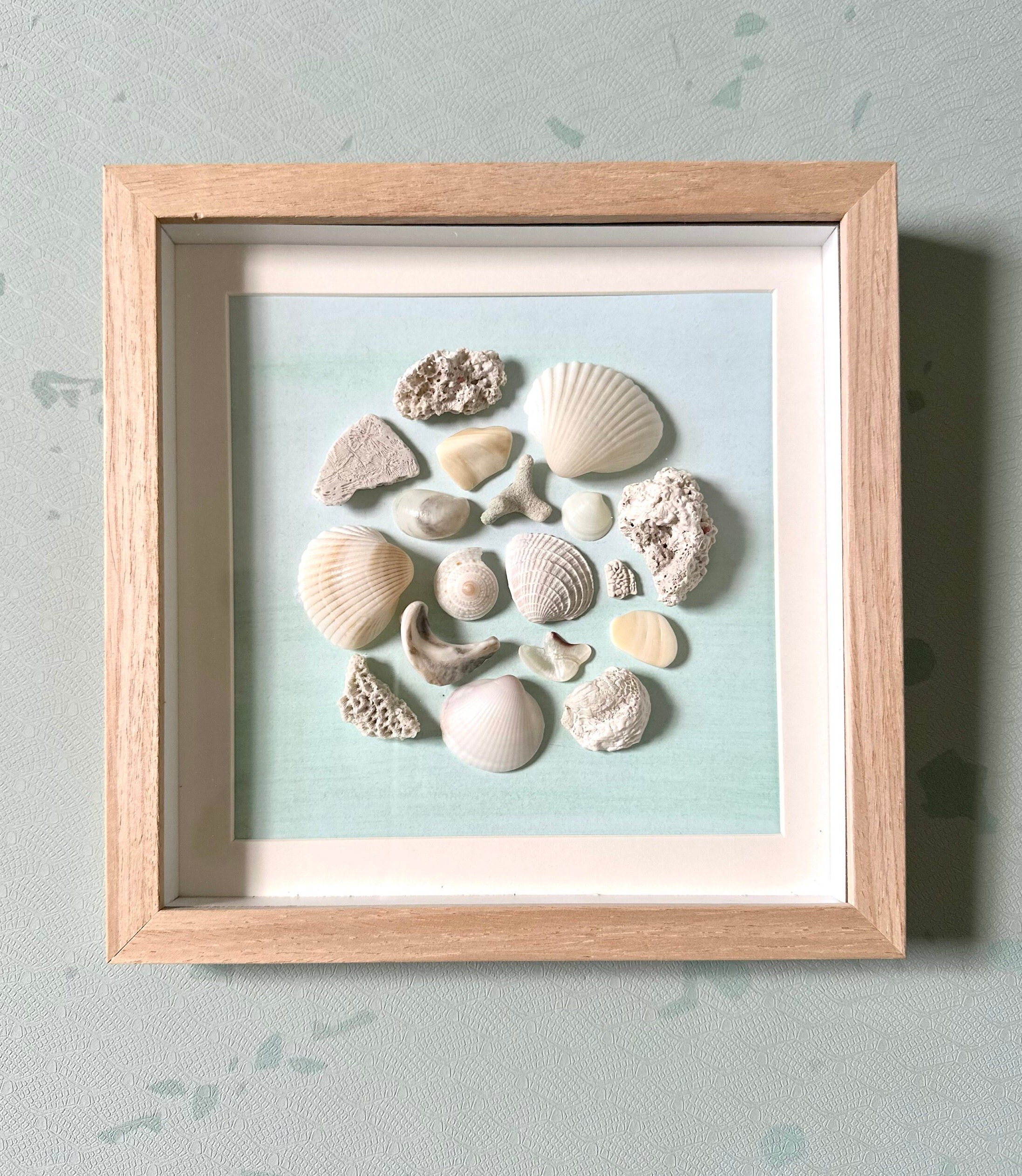 Framed Shell Art, 8x8 Shadow Box, Handmade Art, Coastal Art, Coastal ...