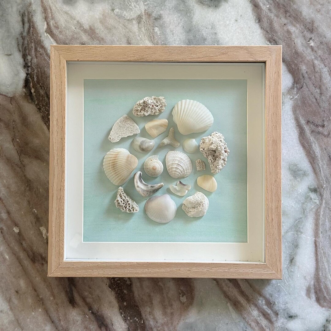 Framed Shell Art, 8x8 Shadow Box, Handmade Art, Coastal Art, Coastal ...