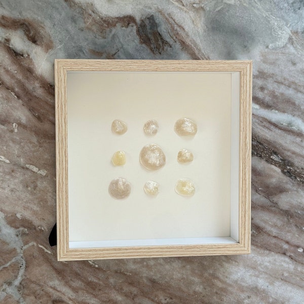 Shell Art Shadow Box - Etsy