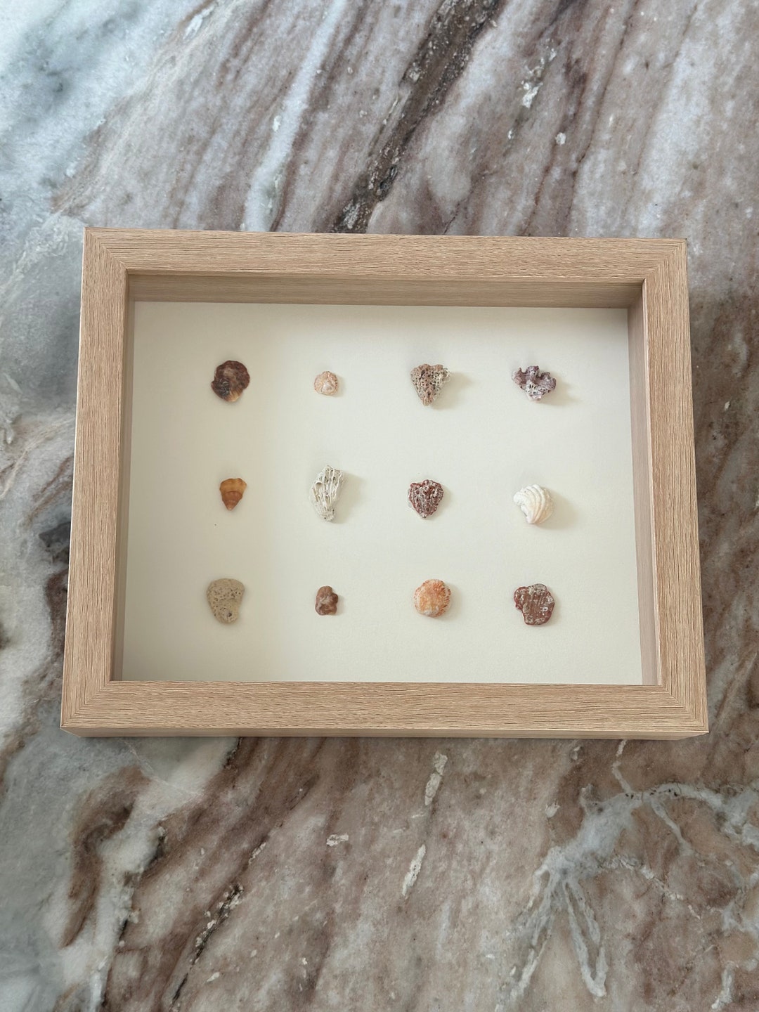 Handmade Shell Art Shadow Box: Coastal Beach House Decor - Etsy