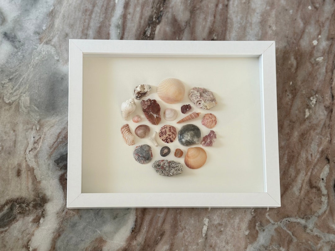 Framed Shell Art: Handmade Coastal Shadow Box (8x10) - Etsy