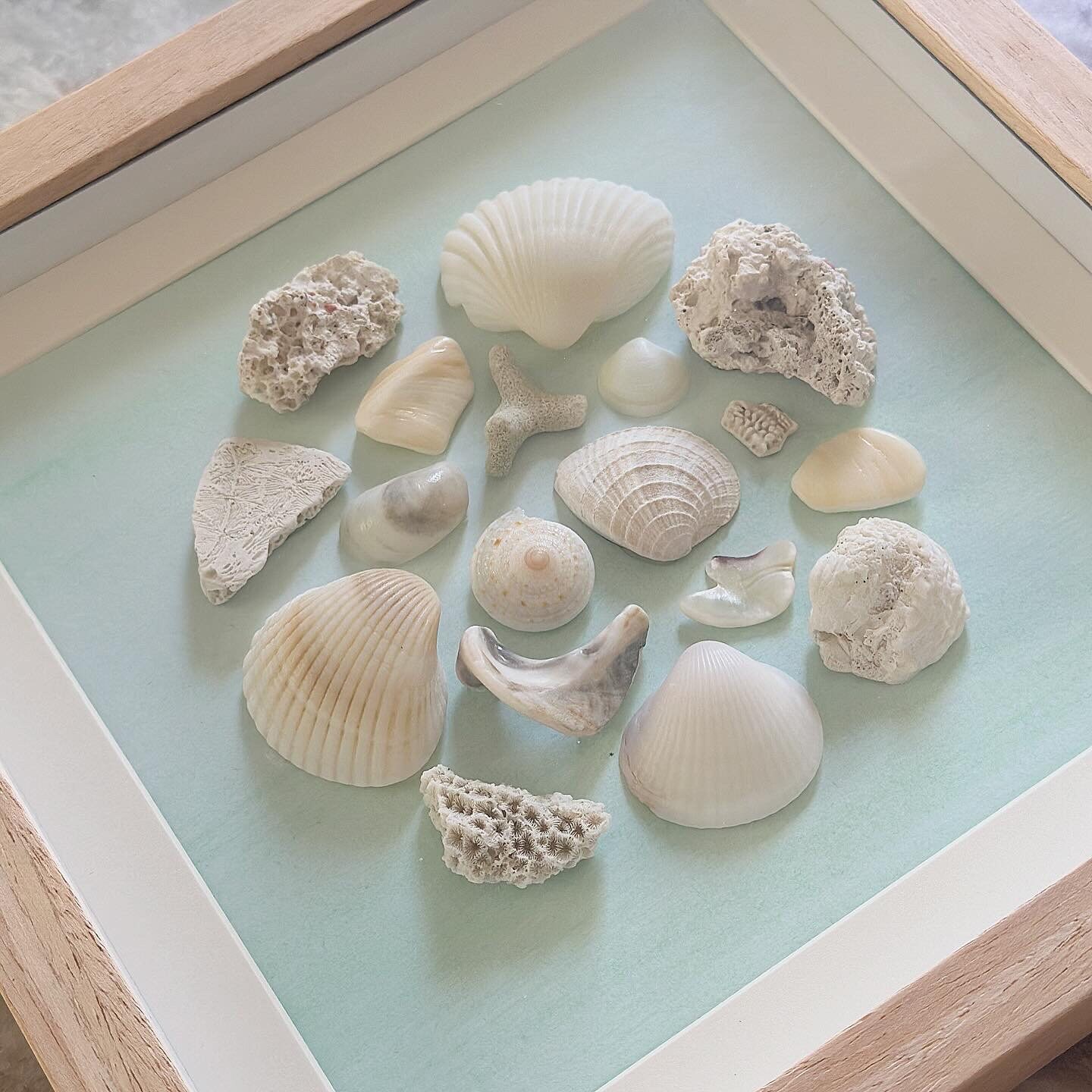Framed Shell Art, 8x8 Shadow Box, Handmade Art, Coastal Art, Coastal ...