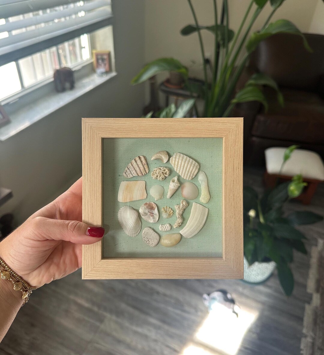 Framed Shell Art Shadow Box Glass Frame, Handmade Art, Coastal Wall Art ...