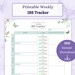 Weekly IBS Tracker Printable PDF | Pain Diary | Gut Health | Symptom ...