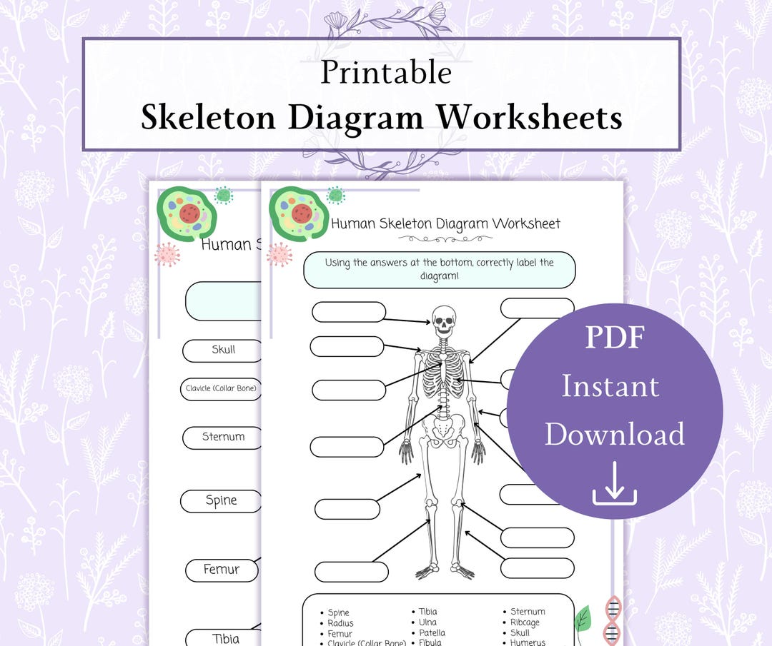 Skeletal System Diagram Worksheet Printable PDF, Human Skeleton ...
