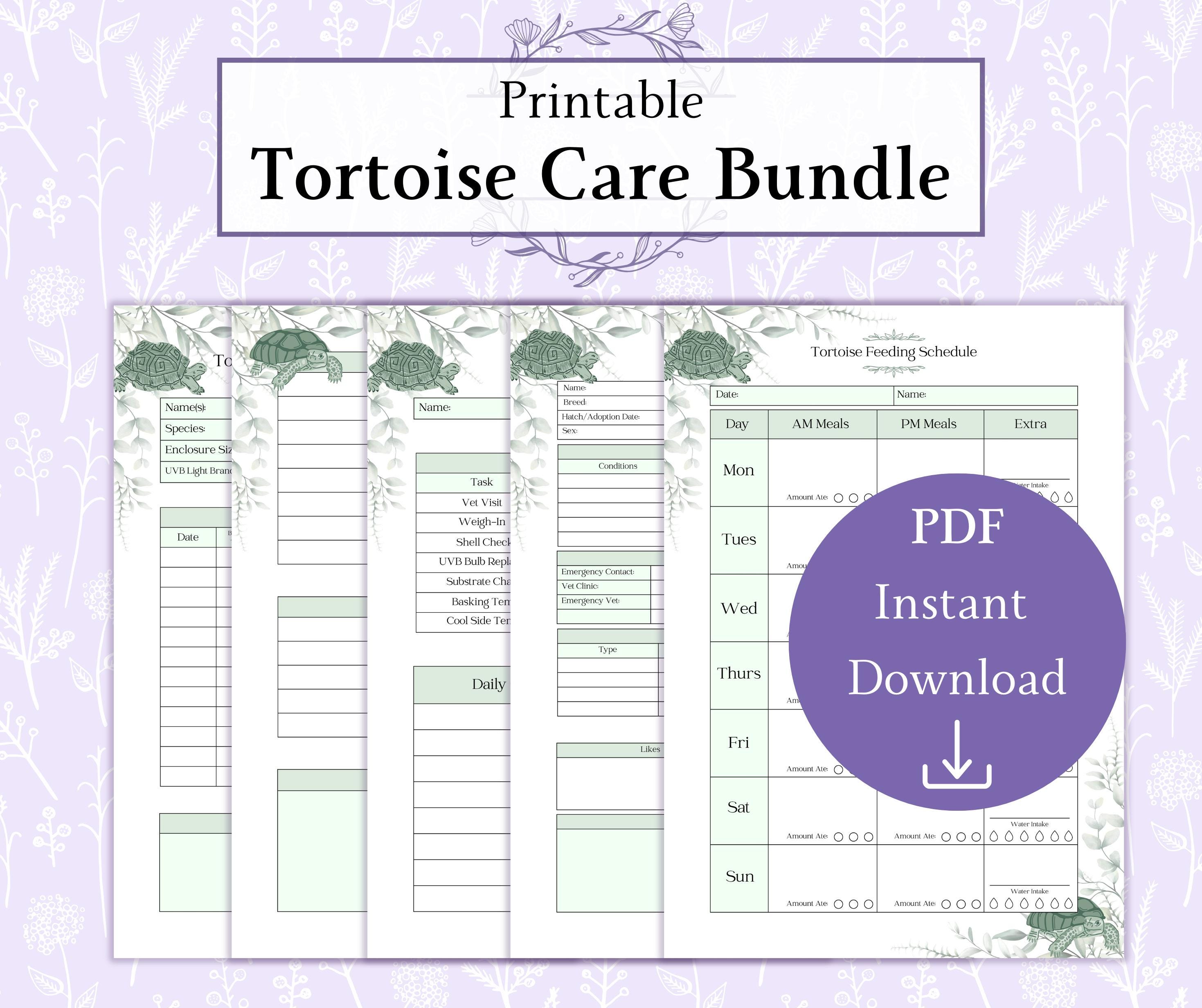 Tortoise Care Bundle Printable PDF | Tortoise Printables | Reptile Care ...