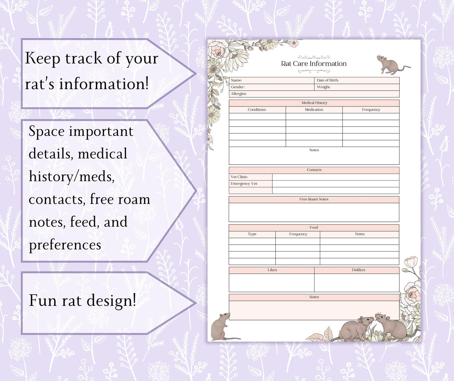Rat Care Information Printable PDF | Rat Care Report | Rat Care Details ...
