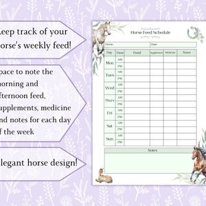 Horse Feeding Chart Bundle Printable PDF | Equine Feeding Chart | Horse ...