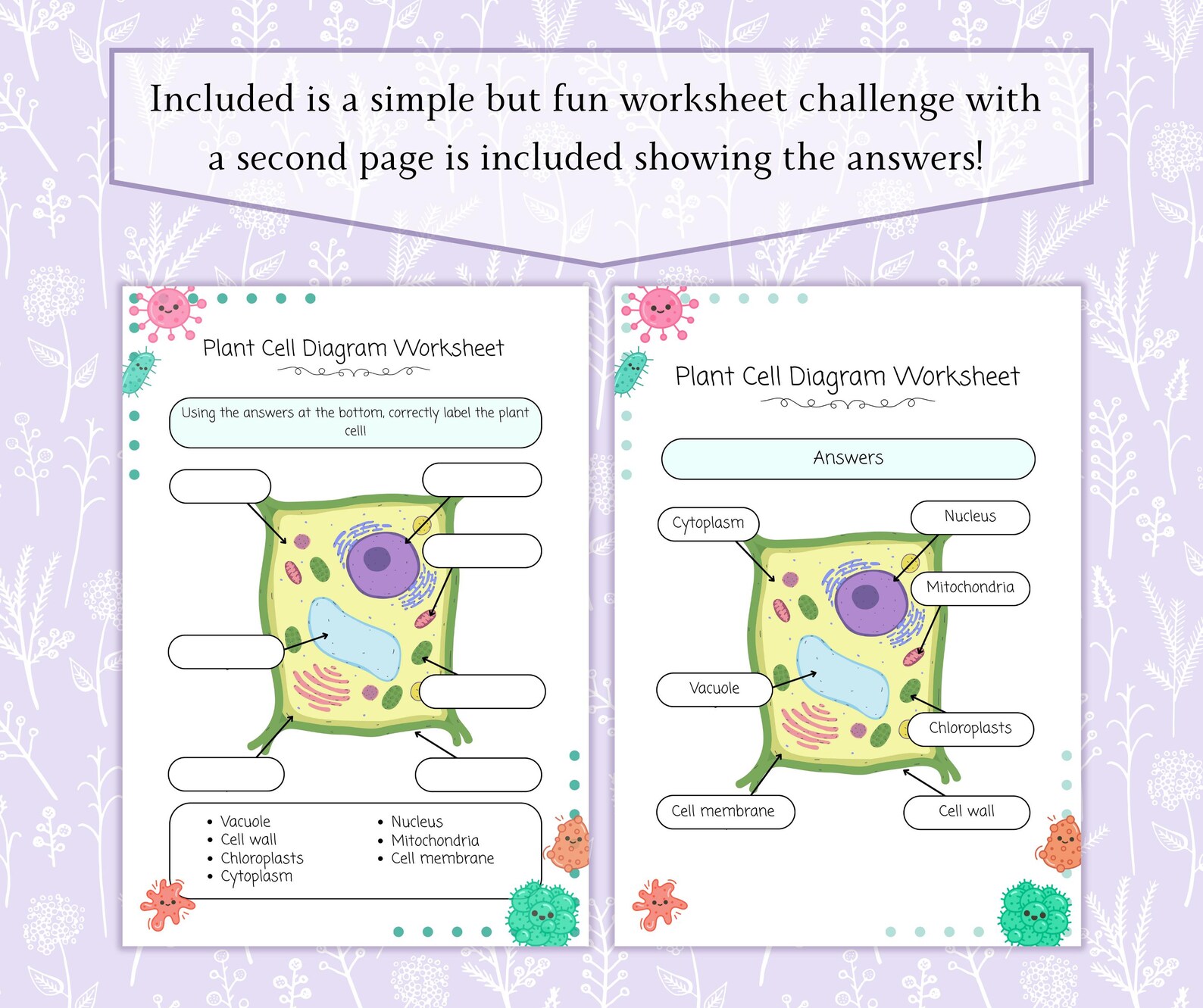 Plant Cell Diagram Printable PDF, Parts of a Plant Cell Labeling ...