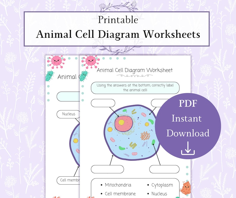 Animal Cell Diagram Printable PDF, Parts of an Animal Cell Labeling ...